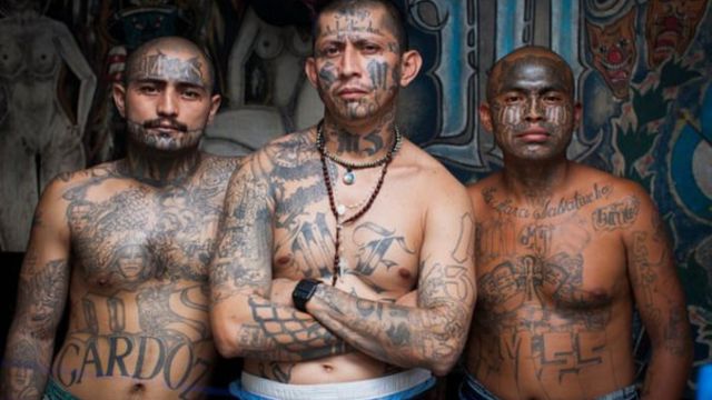 These Five Most Dangerous Gangs Are Taking Over Florida – Sky21 These Five Most Dangerous Gangs Are Taking Over Florida – Sky21